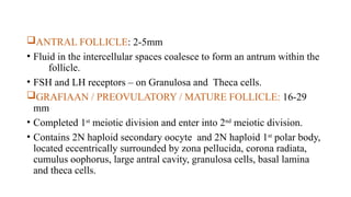 Oogenesis, Spermatogenesis, Fertilisation (1).pptx