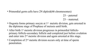 Oogenesis, Spermatogenesis, Fertilisation (1).pptx
