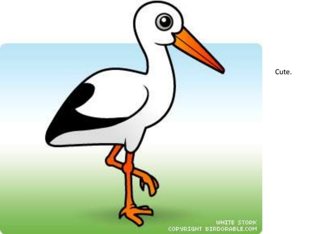 White stork | PPTX