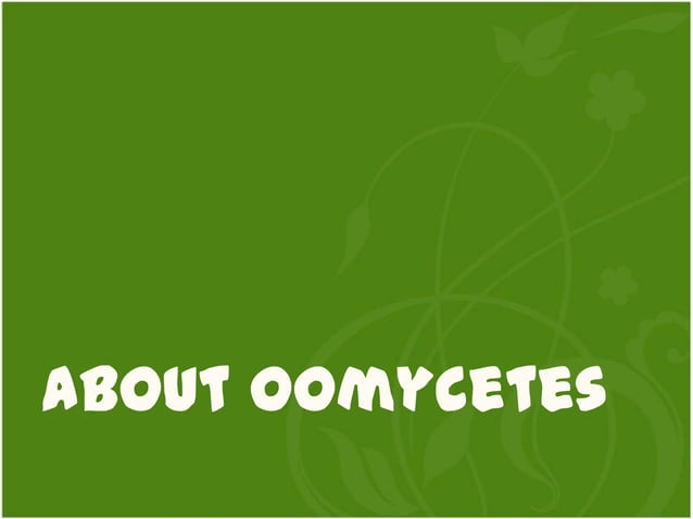 Oomycetes | PPTX