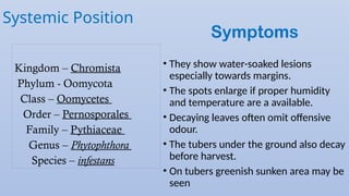 Oomycota: Unveiling Oomycota: Eukaryotic Plant Pathogens- The Water ...