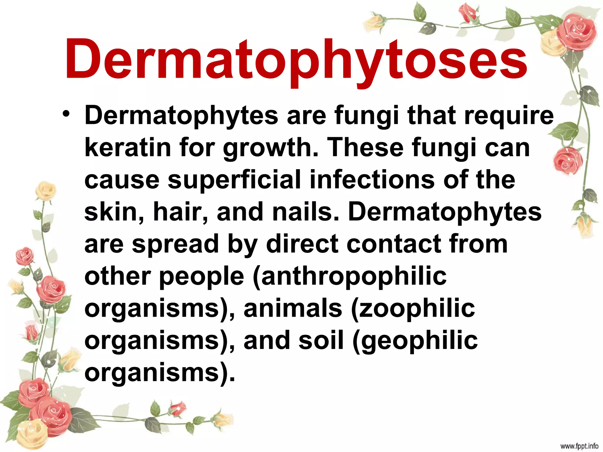 fungal infection of skin ppt | PPT