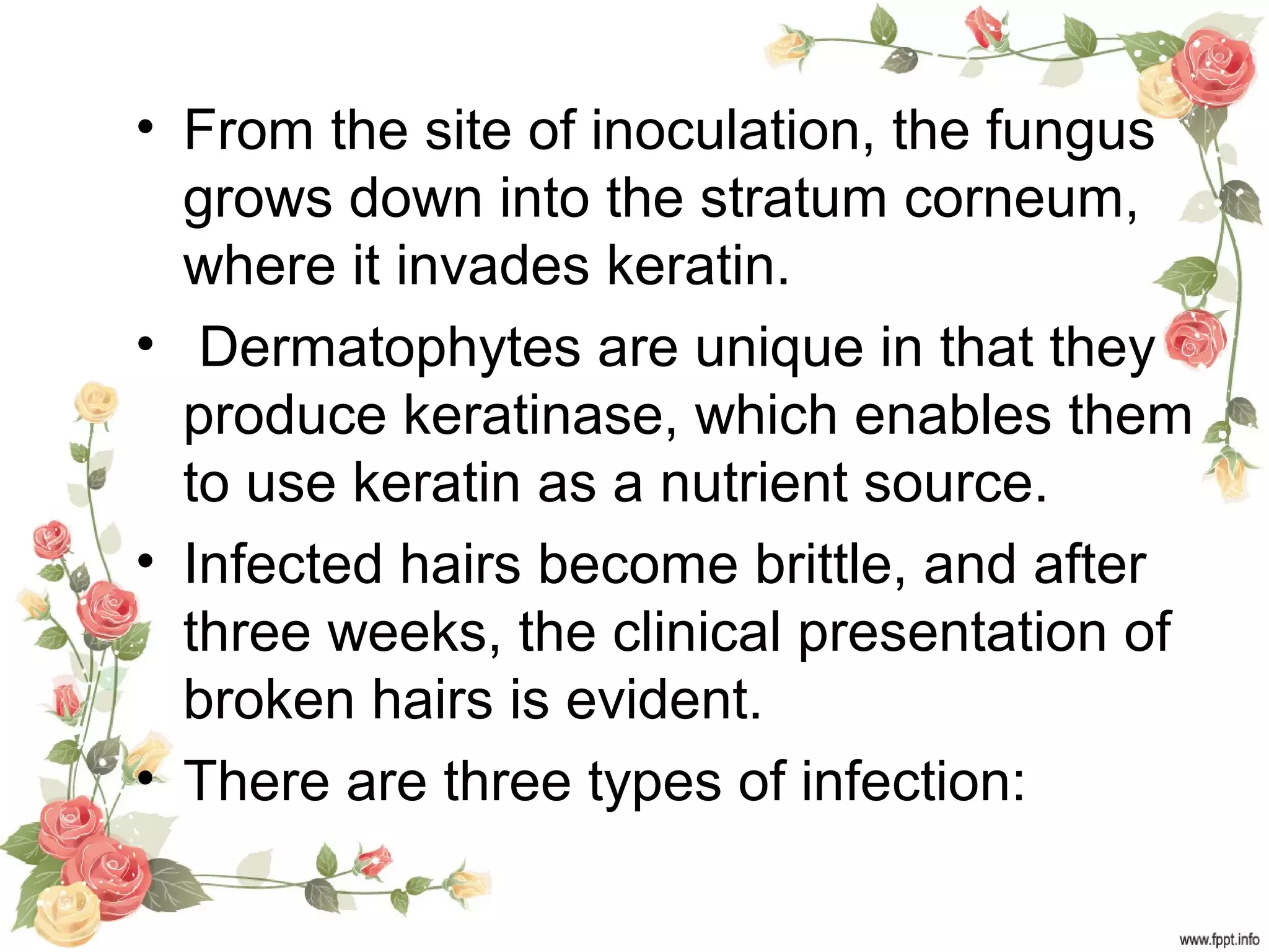 fungal infection of skin ppt | PPT