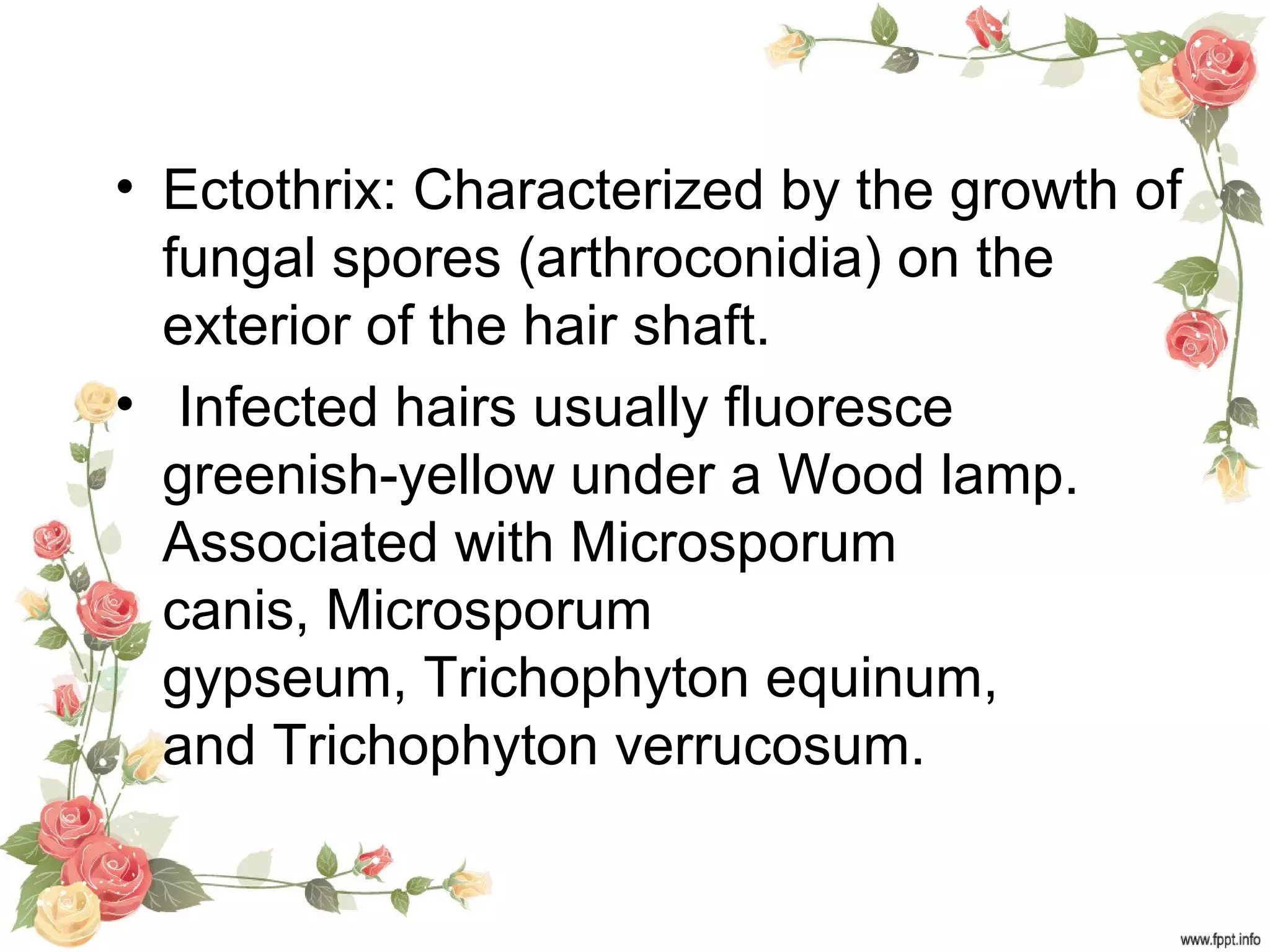 fungal infection of skin ppt | PPT