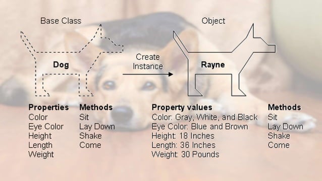 Presentation on class and object in Object Oriented programming. | PPT