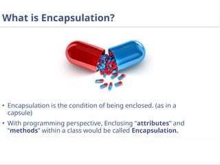 OOP Principles Encapsulation Inheritance.pptx