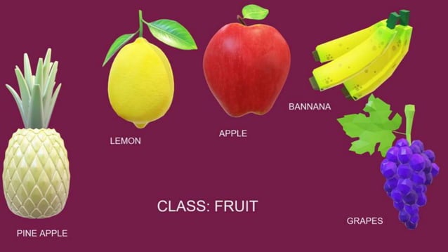 Concept of OOPS with real life examples | PPTX