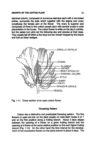 Oosterhuls - 1 Growth and Development of a Cotton Plant.pdf
