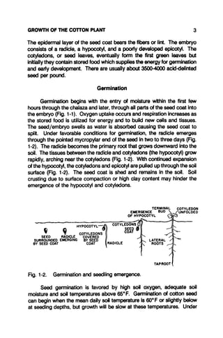 Oosterhuls - 1 Growth and Development of a Cotton Plant.pdf