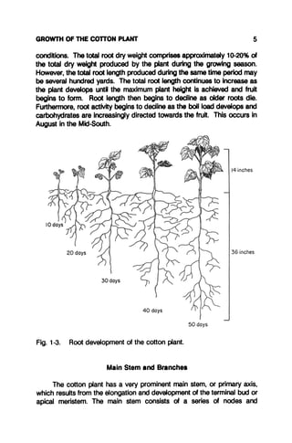Oosterhuls - 1 Growth and Development of a Cotton Plant.pdf