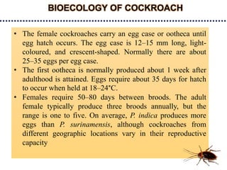 Ootheca .ppt | Free Download