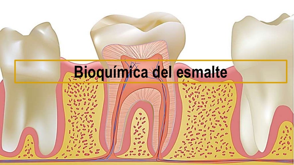 esmalte dental