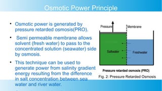 Osmotic Power | PPT