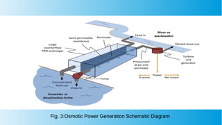 Osmotic Power | PPT