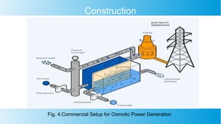 Osmotic Power | PPT