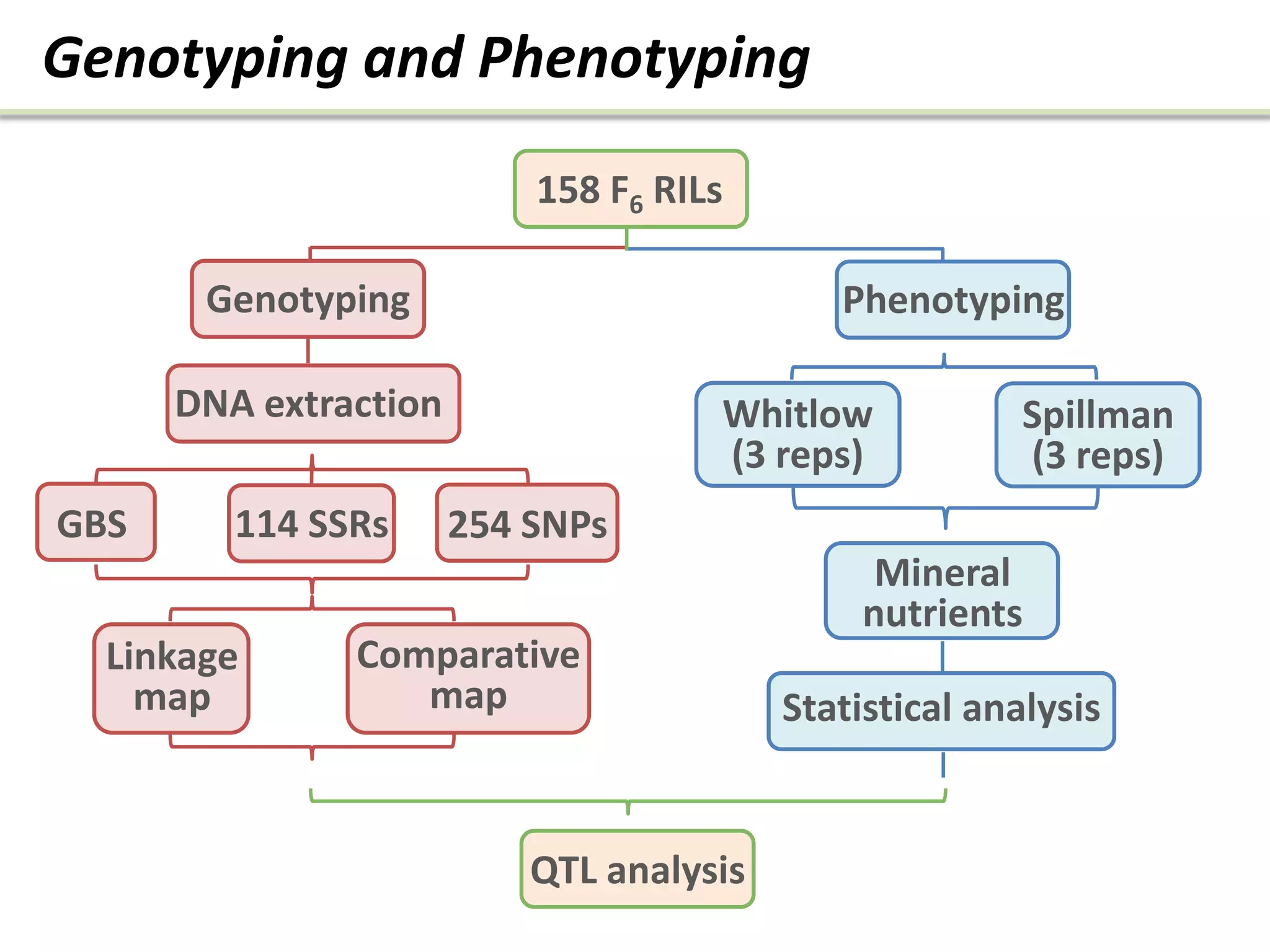 Genome-wide SNP identification, linkage map construction and QTL ...