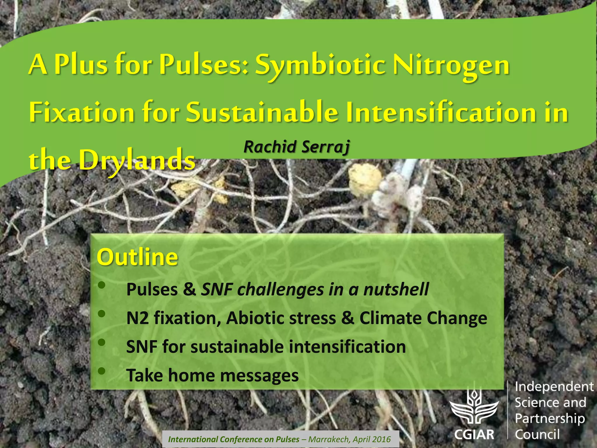 A Plus for Pulses: Symbiotic Nitrogen Fixation for Sustainable ...