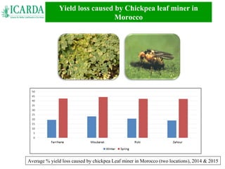 Management of Insect Pests of Food Legumes in West and Central Asia and ...