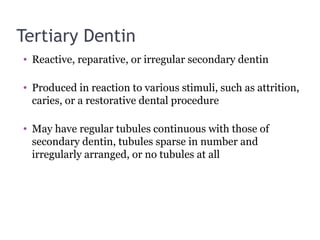 dentinogenesis, formation of dentin and its mineralisation | PPTX
