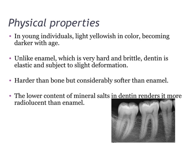 dentinogenesis, formation of dentin and its mineralisation | PPTX | Dental Health | Diseases and ...