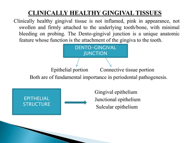 Periodontal pathogenesis | PPTX