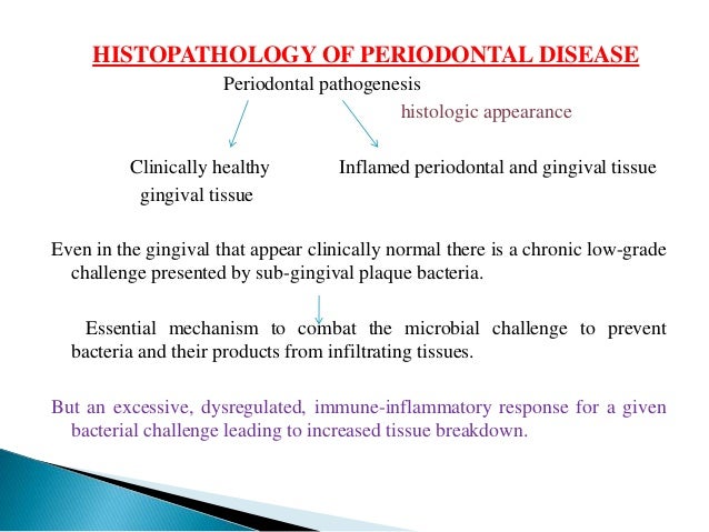 Periodontal pathogenesis