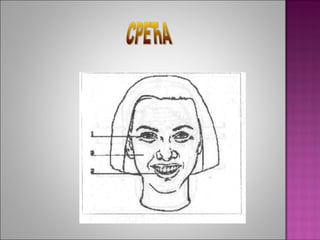 Opažanje osoba | PPT