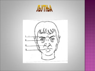 Opažanje osoba | PPT