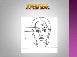 Opažanje osoba | PPT