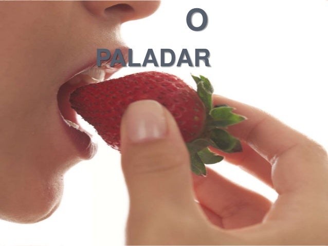 O paladar