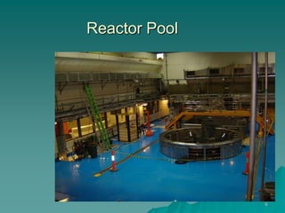 Opal Systems I&C.pdf