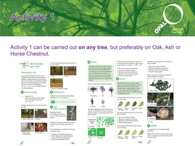 OPAL Tree Health Survey training presentation | PPT