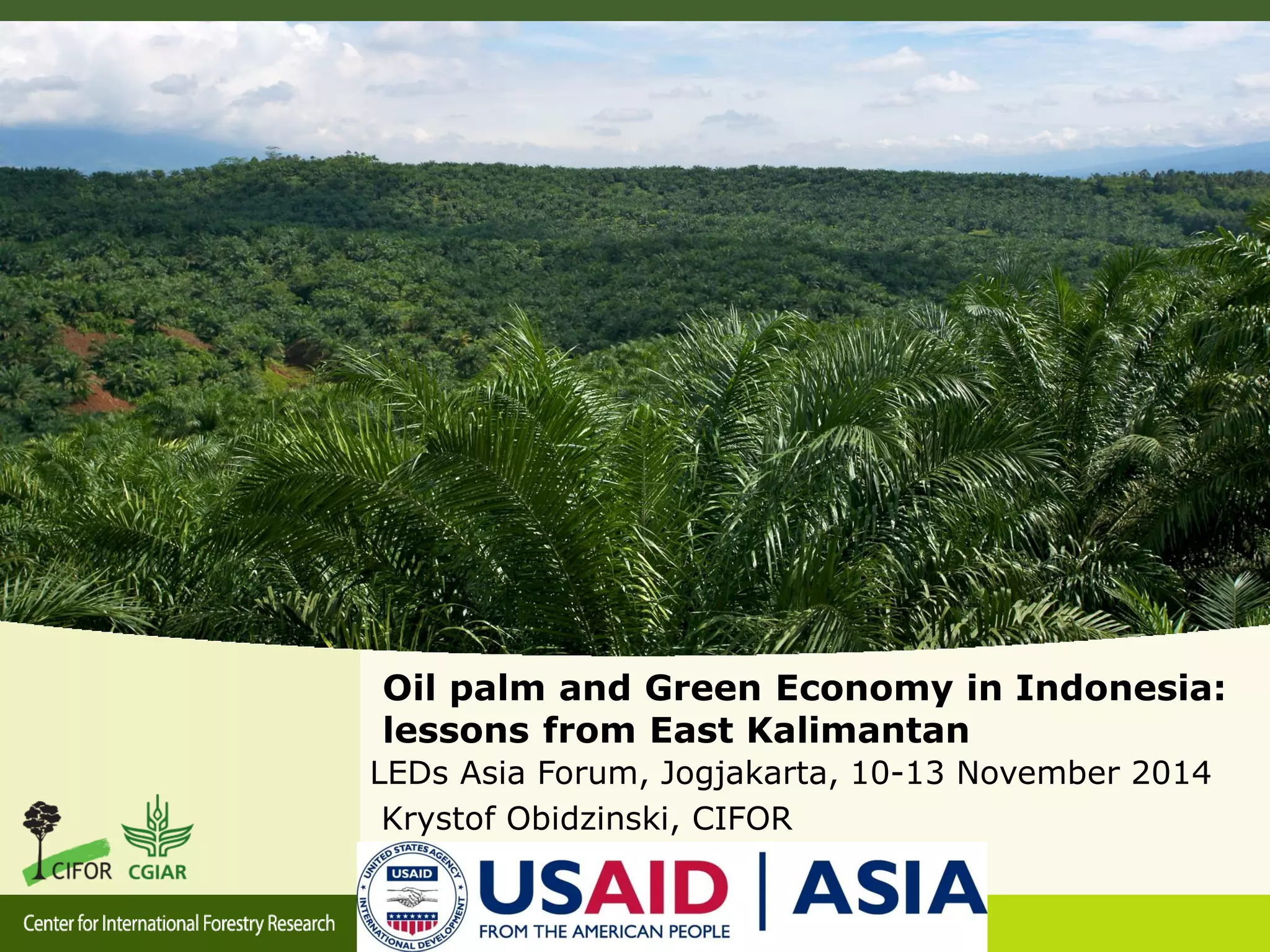 Oil palm and Green Economy in Indonesia: lessons from East Kalimantan | PDF