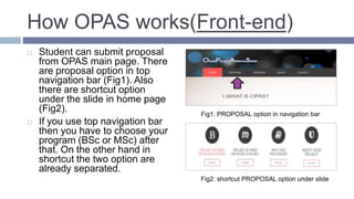 Opas | PPTX