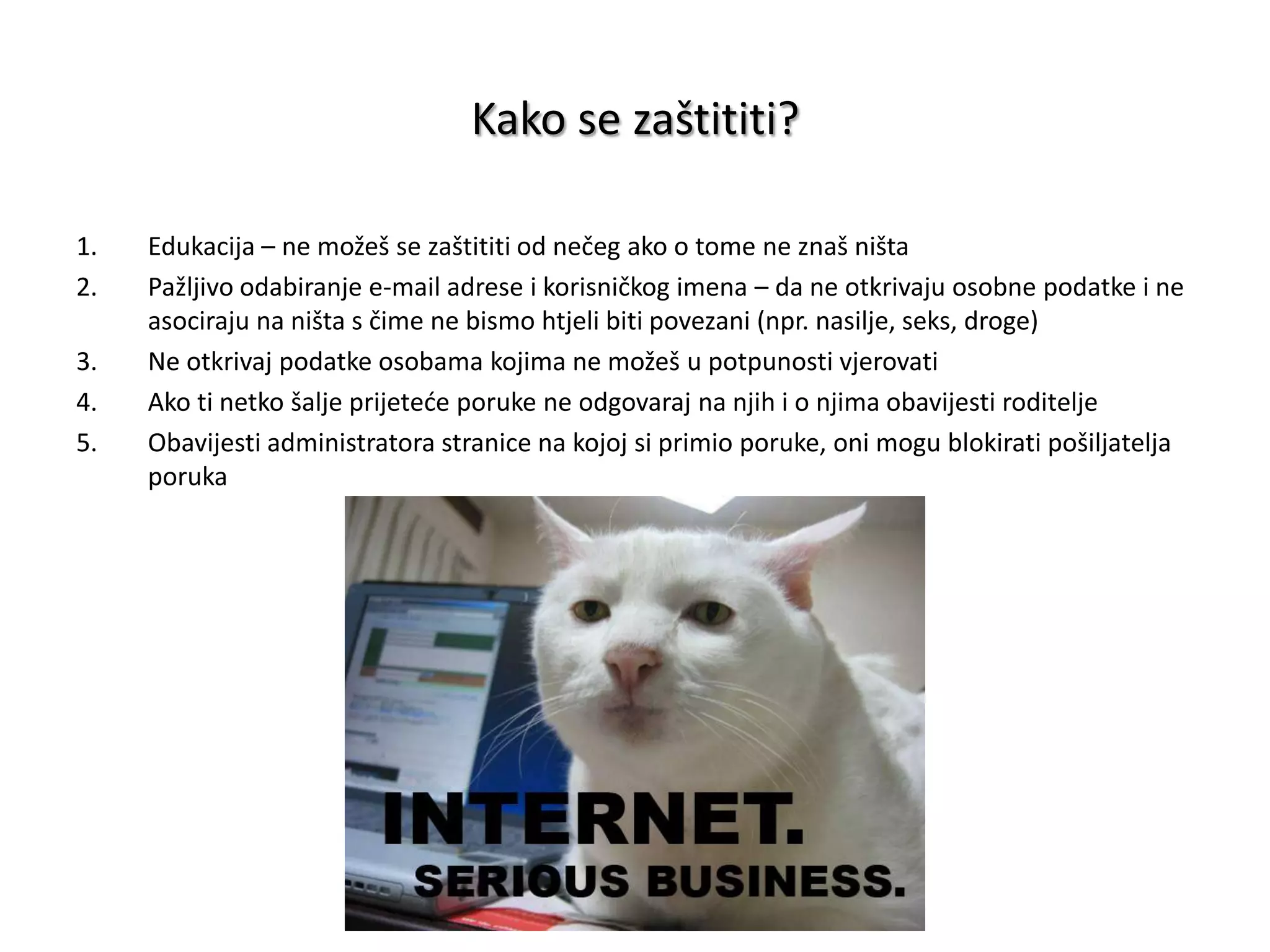 Opasnosti na internetu | PPTX