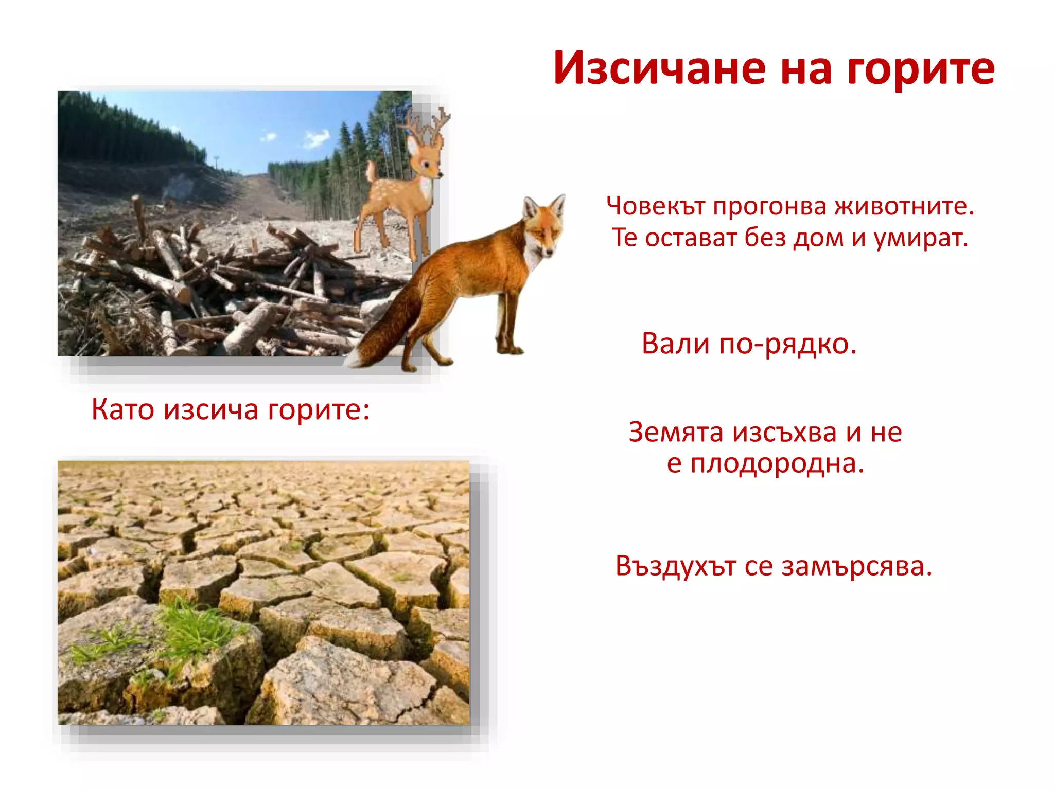 Опазване на природата 1 и 2 клас Pptx