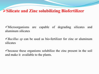 ROLE OF BIOFERTILIZERS IN VEGETABLE PRODUCTION | PPTX
