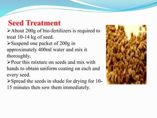 ROLE OF BIOFERTILIZERS IN VEGETABLE PRODUCTION | PPTX