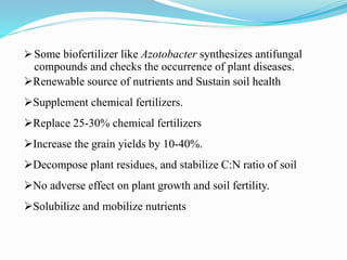 ROLE OF BIOFERTILIZERS IN VEGETABLE PRODUCTION | PPTX