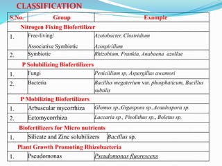 ROLE OF BIOFERTILIZERS IN VEGETABLE PRODUCTION | PPTX