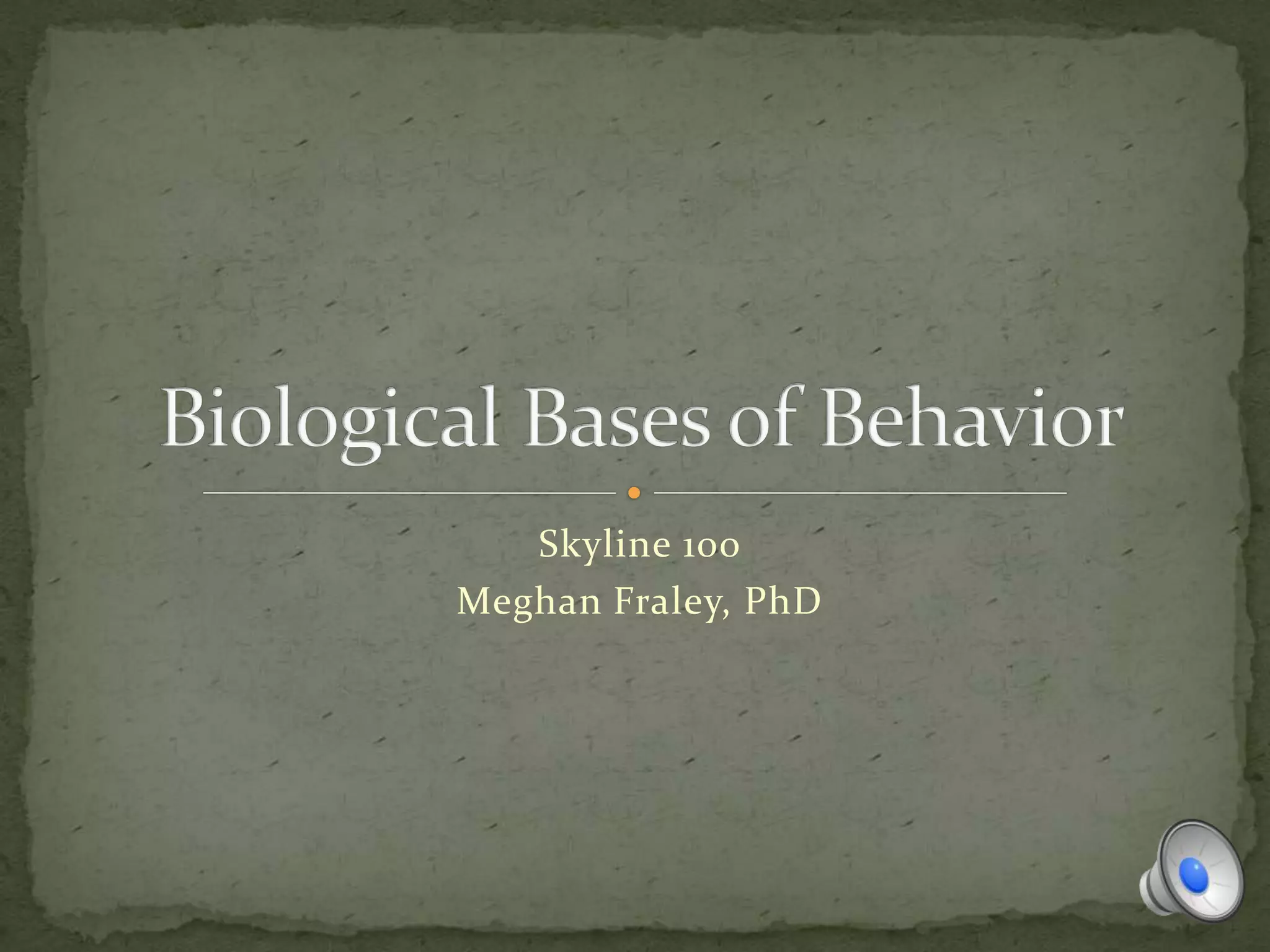 Ch 3 the brain & nervous system | PDF | Brain and Nervous System ...