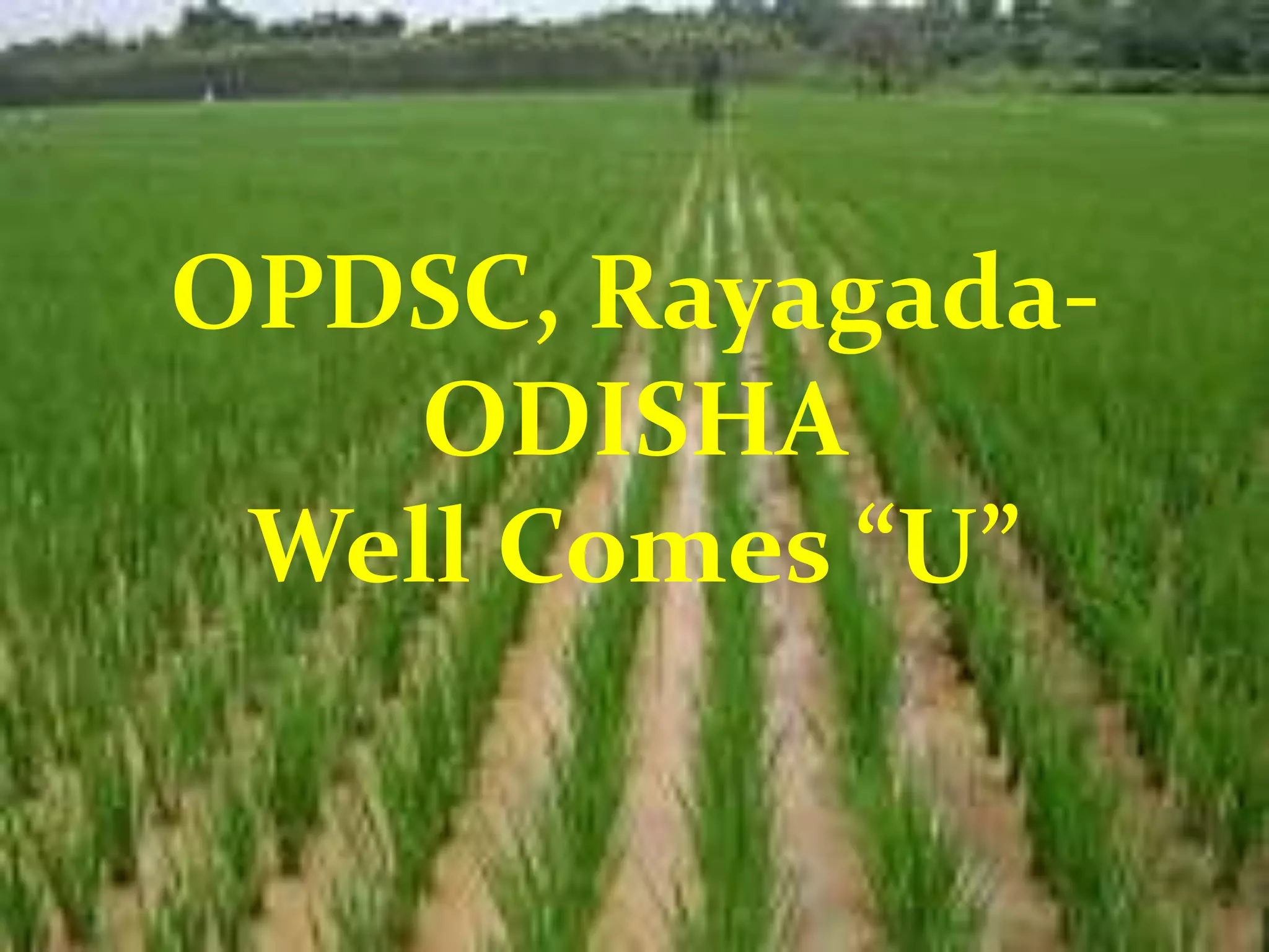 Opdsc odisha | PPT