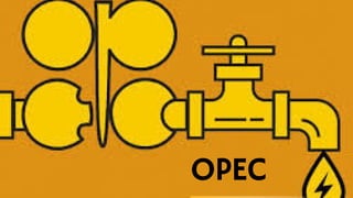 Organisation of Petroleum Exporting Countries | PPT