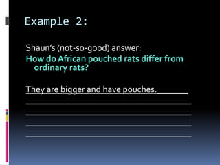 Open ended-response-ppt-2 | PDF