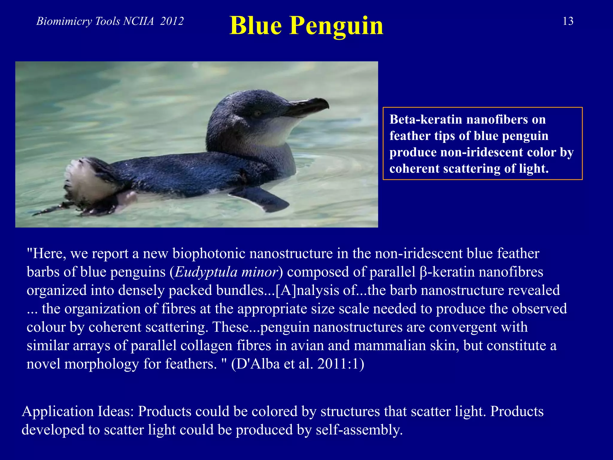 Open2012 biomimicry-cards-biological-solutions | PPT