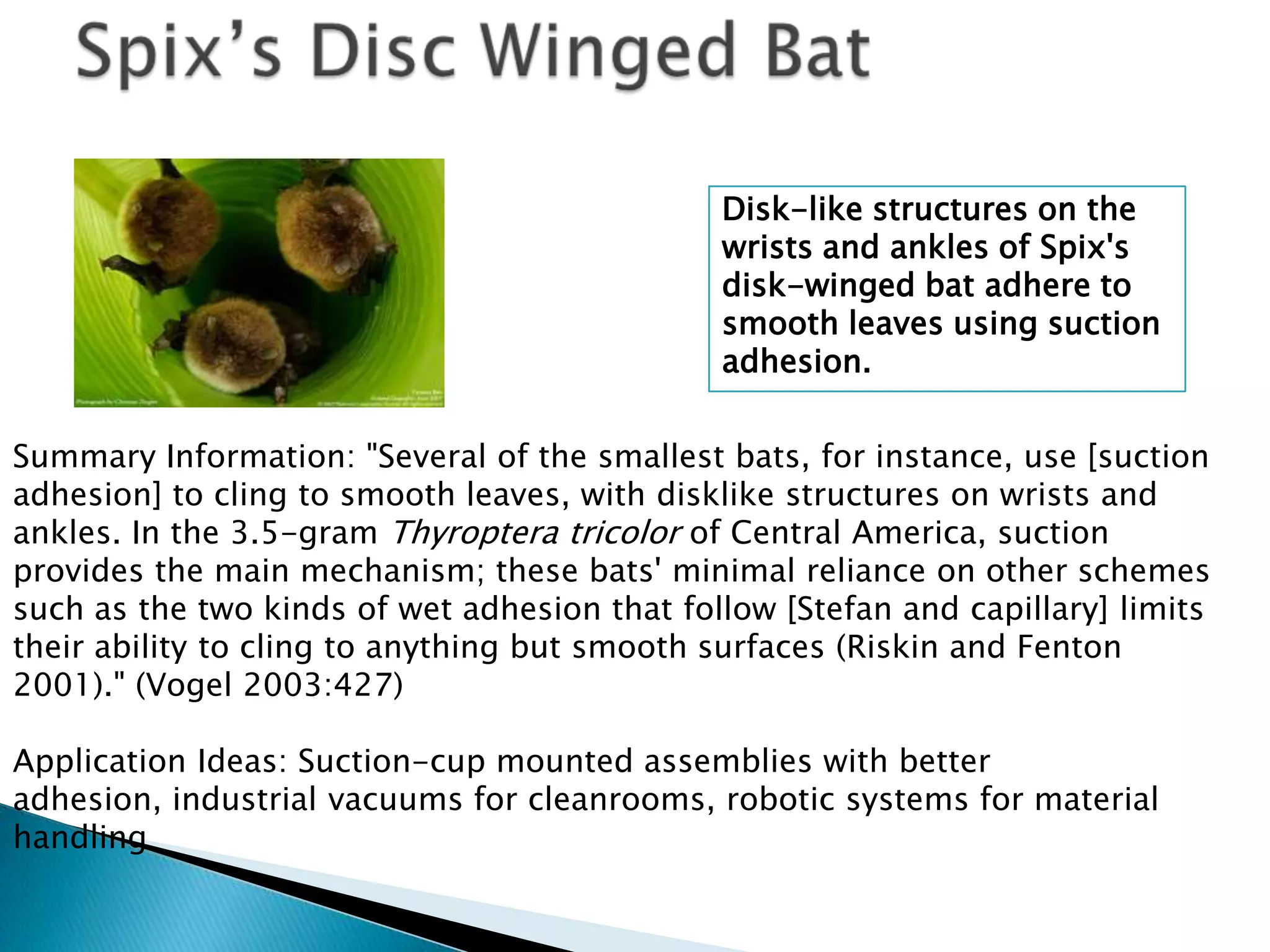 Open2012 biomimicry-cards-biological-solutions | PPTX