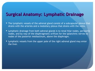 Open surgical Adrenalectomy for adrenal tumors the lect.ppt
