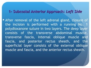 Open surgical Adrenalectomy for adrenal tumors the lect.ppt