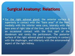 Open surgical Adrenalectomy for adrenal tumors the lect.ppt