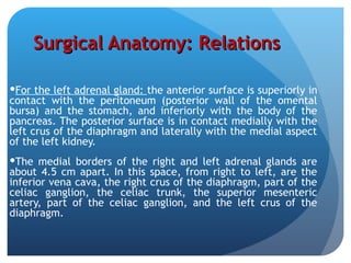 Open surgical Adrenalectomy for adrenal tumors the lect.ppt